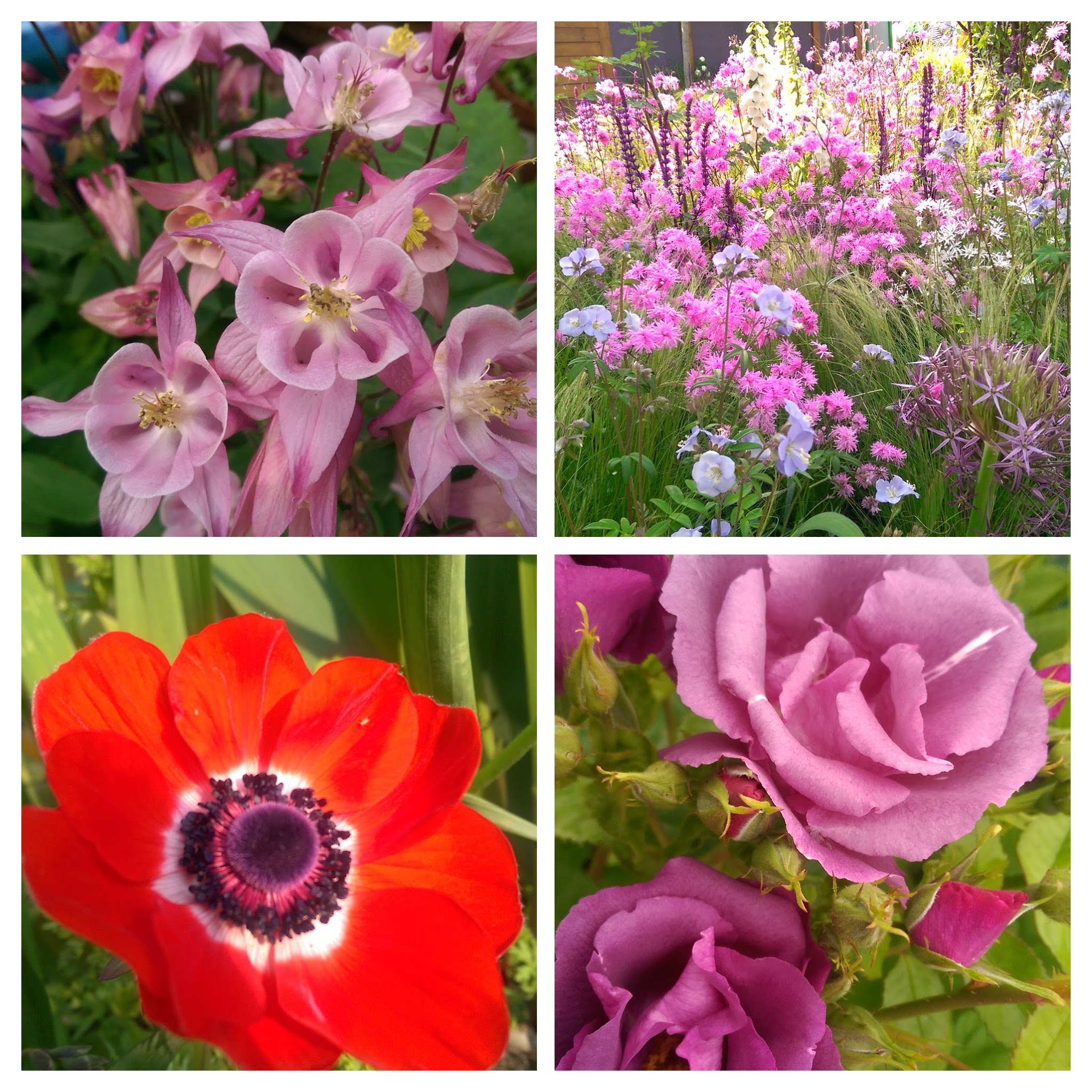 The Sowing Diary 2019 – Monster In The Corner…