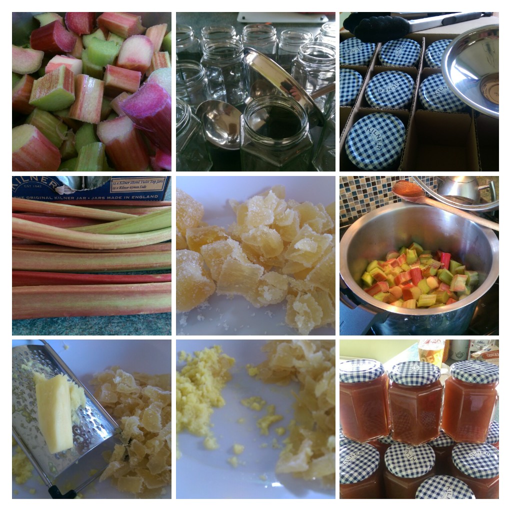 The Sowing Diary 2020 – Monster In The Corner…