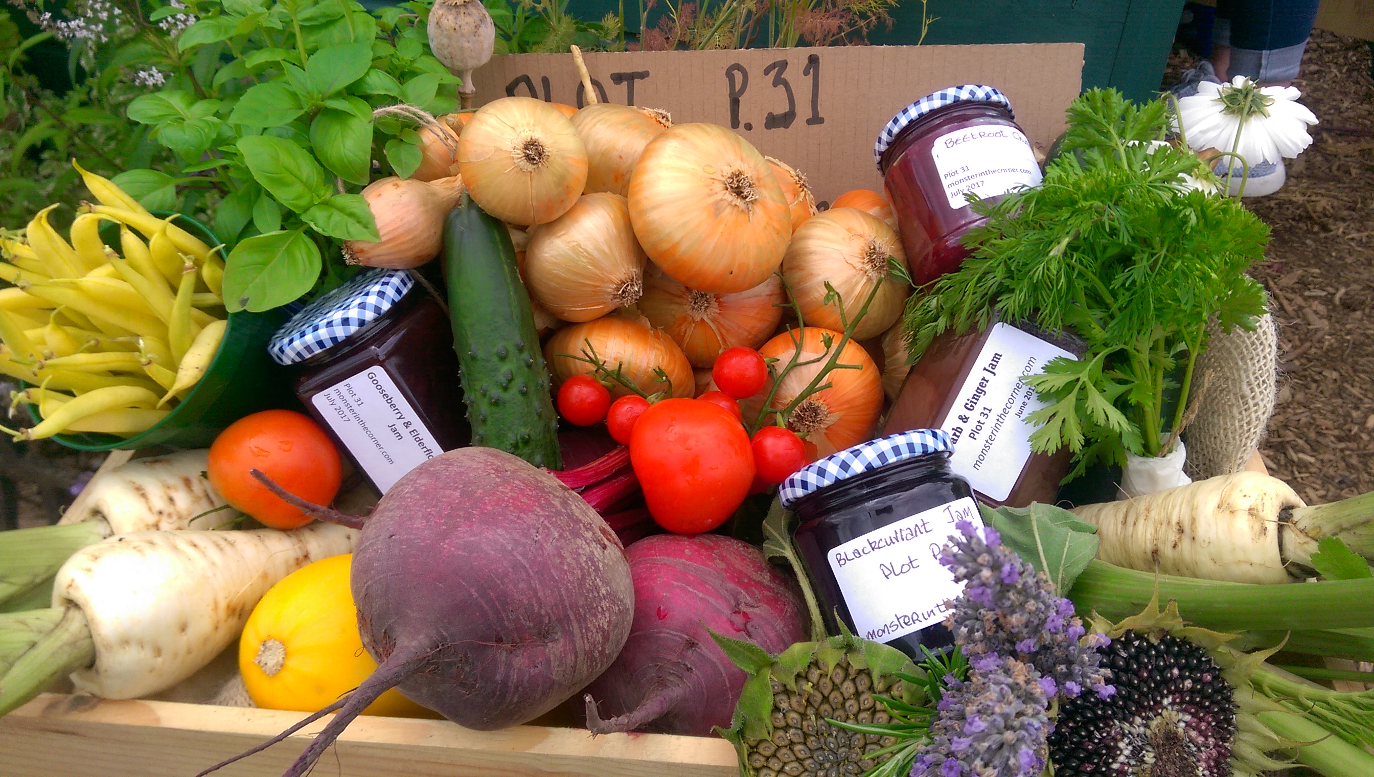 The Sowing Diary 2020 – Monster In The Corner…