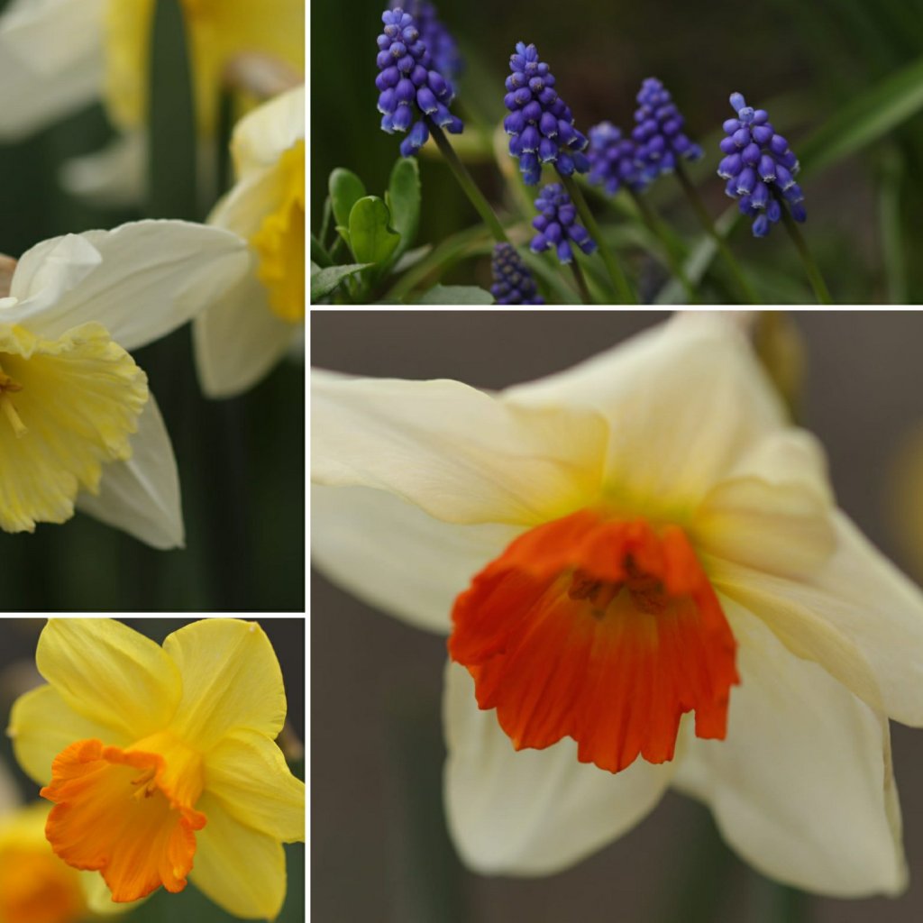 Spring Sprong Sprung… – Monster In The Corner…